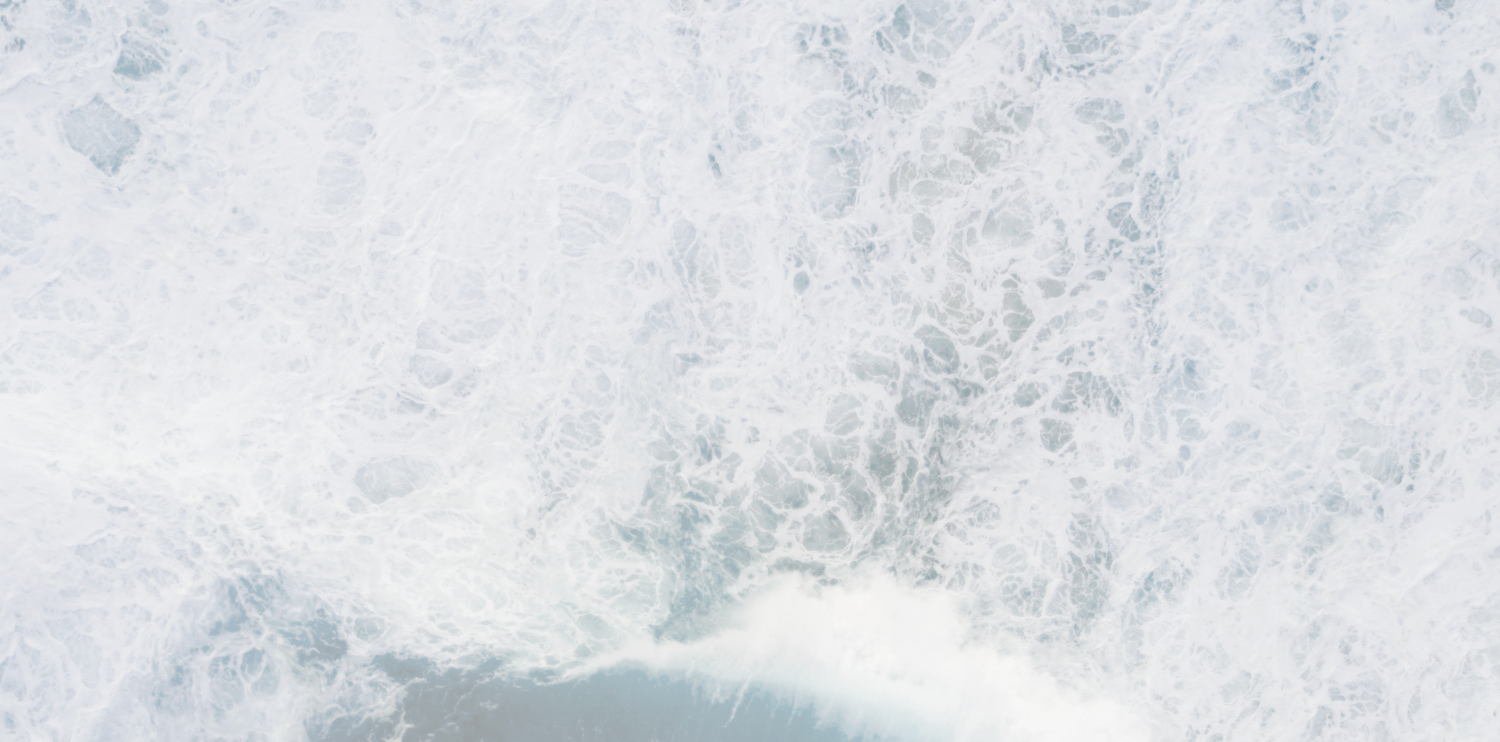 Магазин за риба и морски дарове в София | прясна, пържена, печена – ПРИСТАН.бг